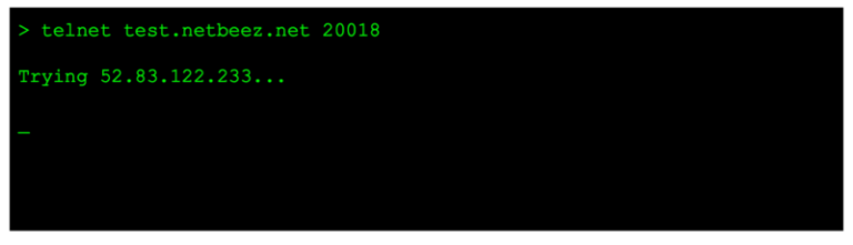 How to use telnet to test connectivity to TCP ports