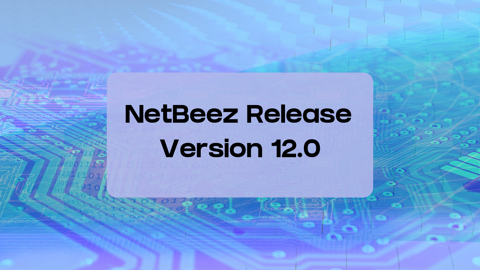 NetBeez Version 12.0